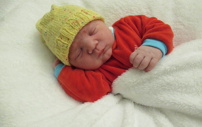 Babygalerie: Adam Taro